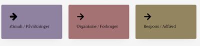 SOR modellen - Læs om de 3 elementer i SOR modellen lige her